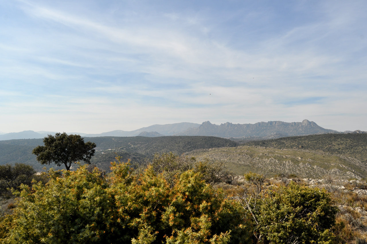 sierra_cabrera | Ayuntamiento de Torrelaguna